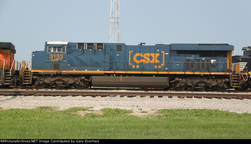 "The Blueberry Middle"